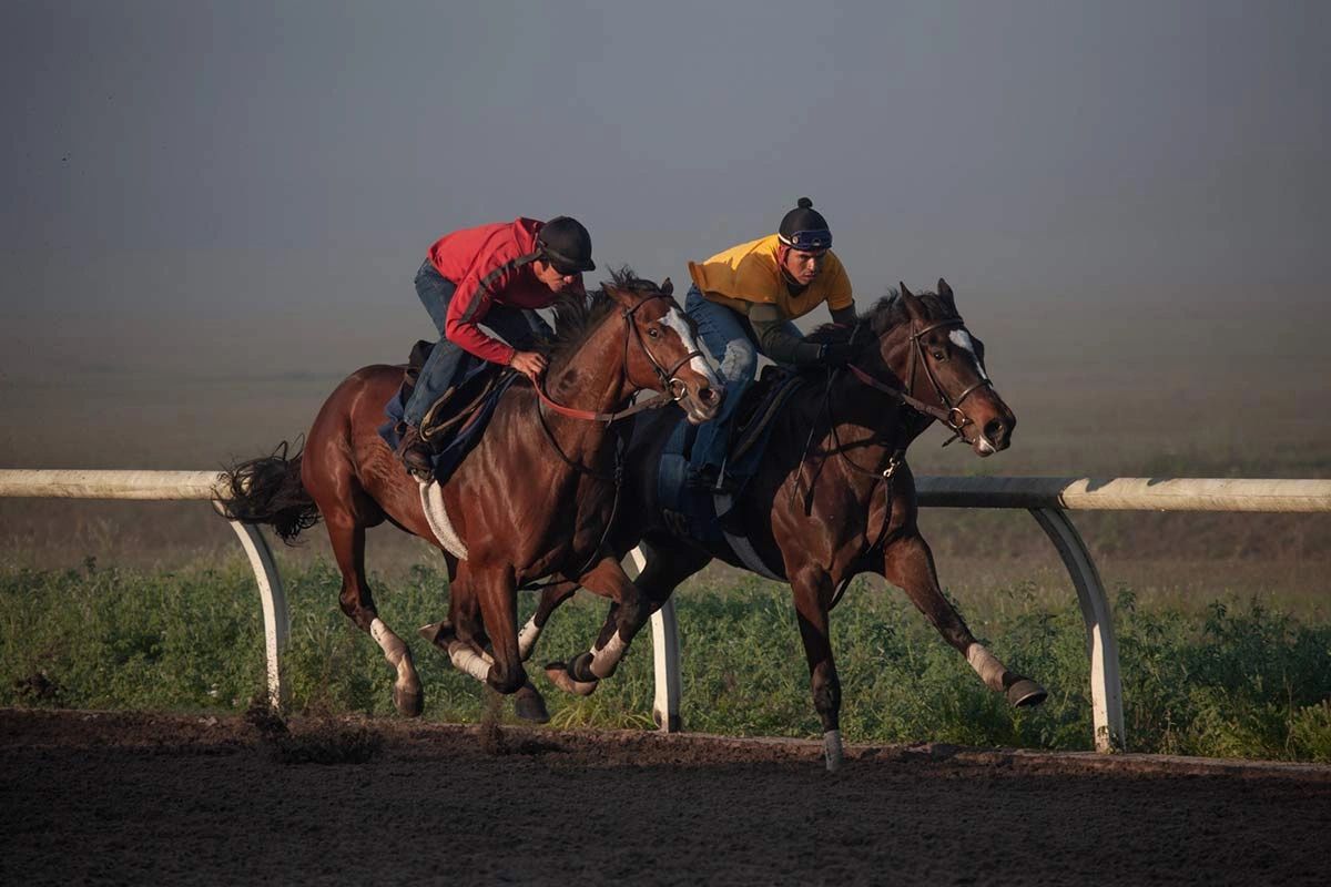 EQUINE - Florida: Neck & Neck at Payson Park