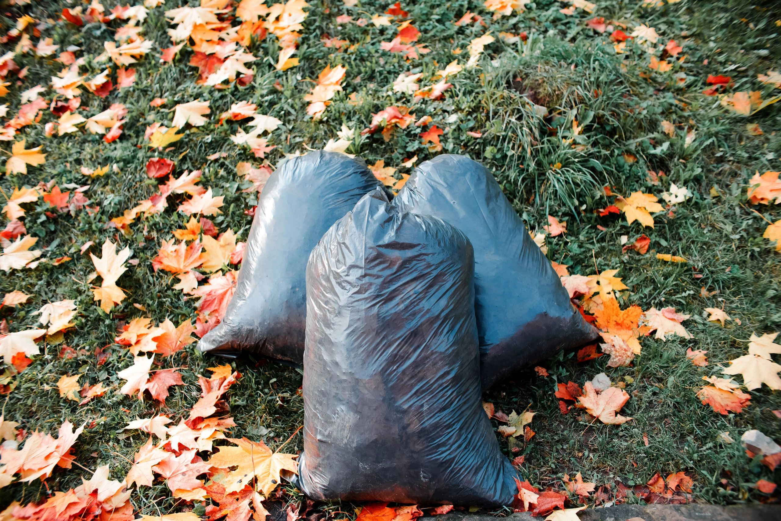 Clean-Up Tips For Your Yard