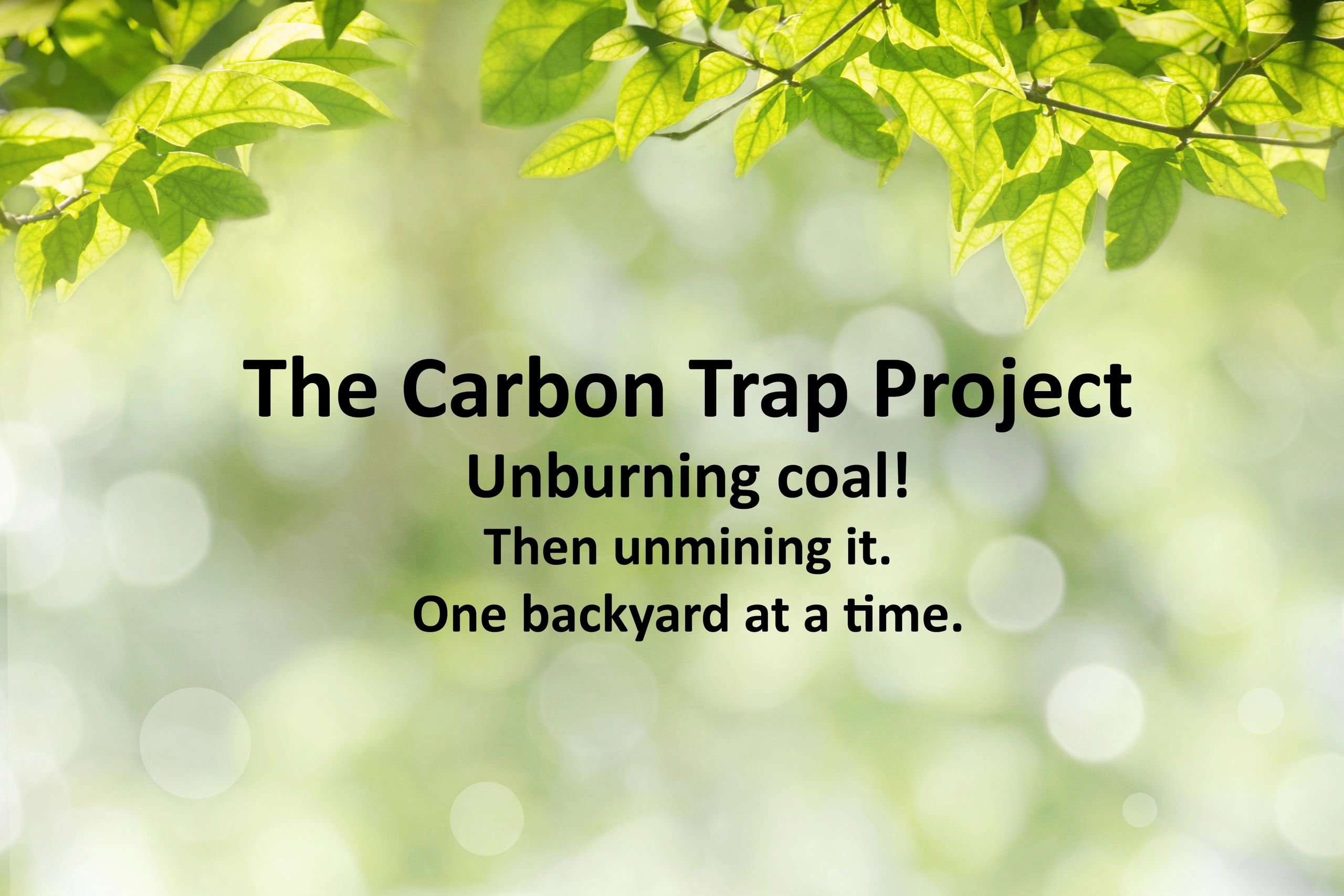 Carbon Trap Project - Carbon Capture, Biochar
