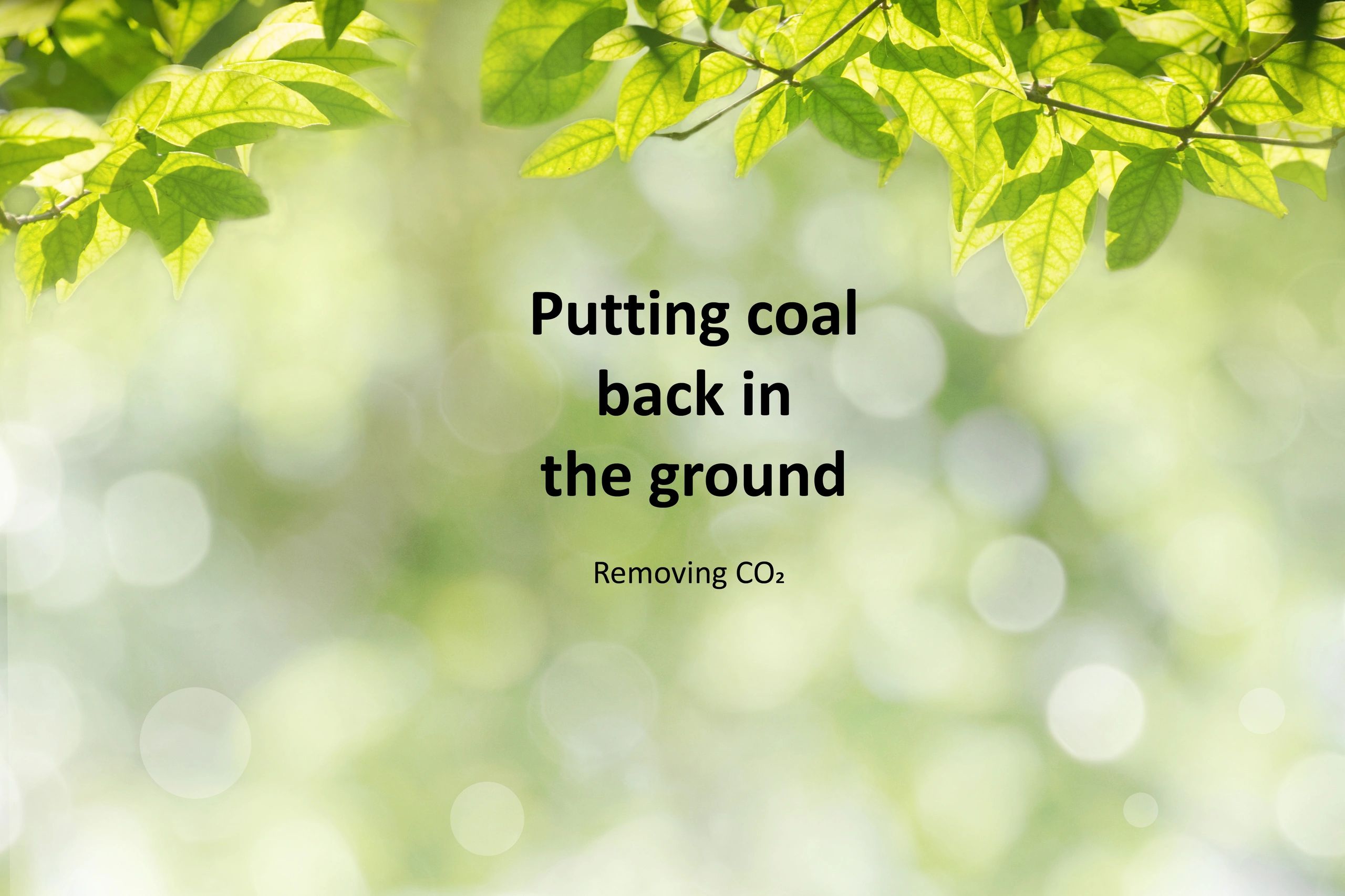 Carbon Trap Project - Solar Powered, Carbon Removal