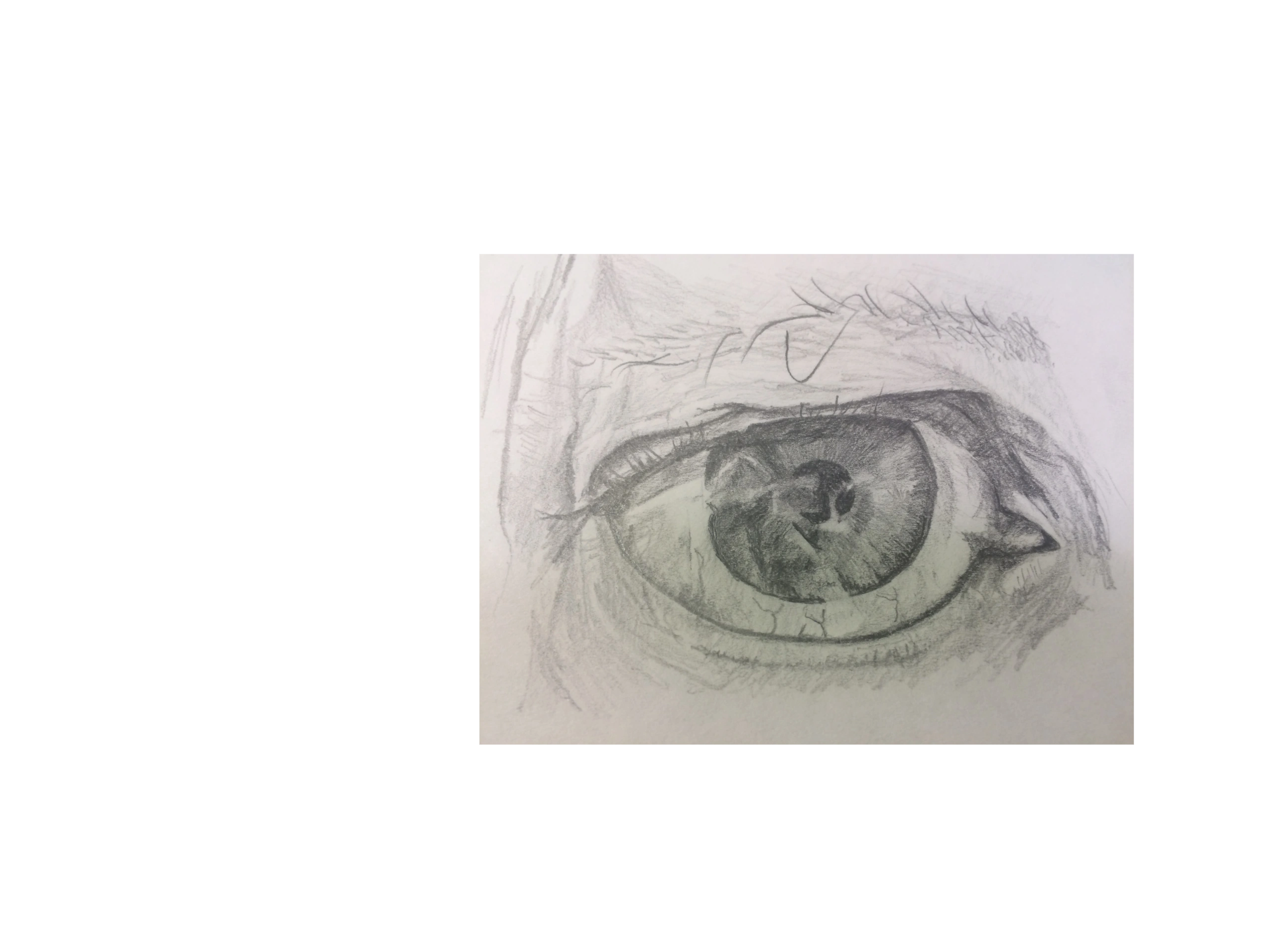 through-genes-eye