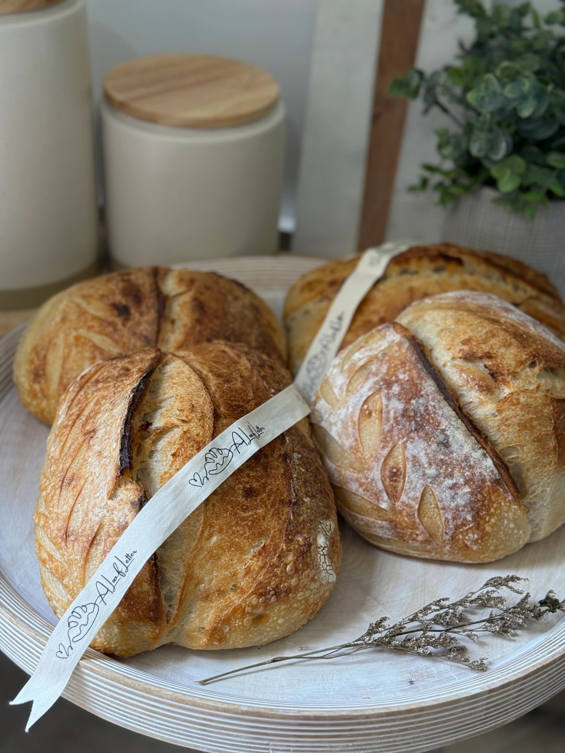 Home [aloafletter.com]