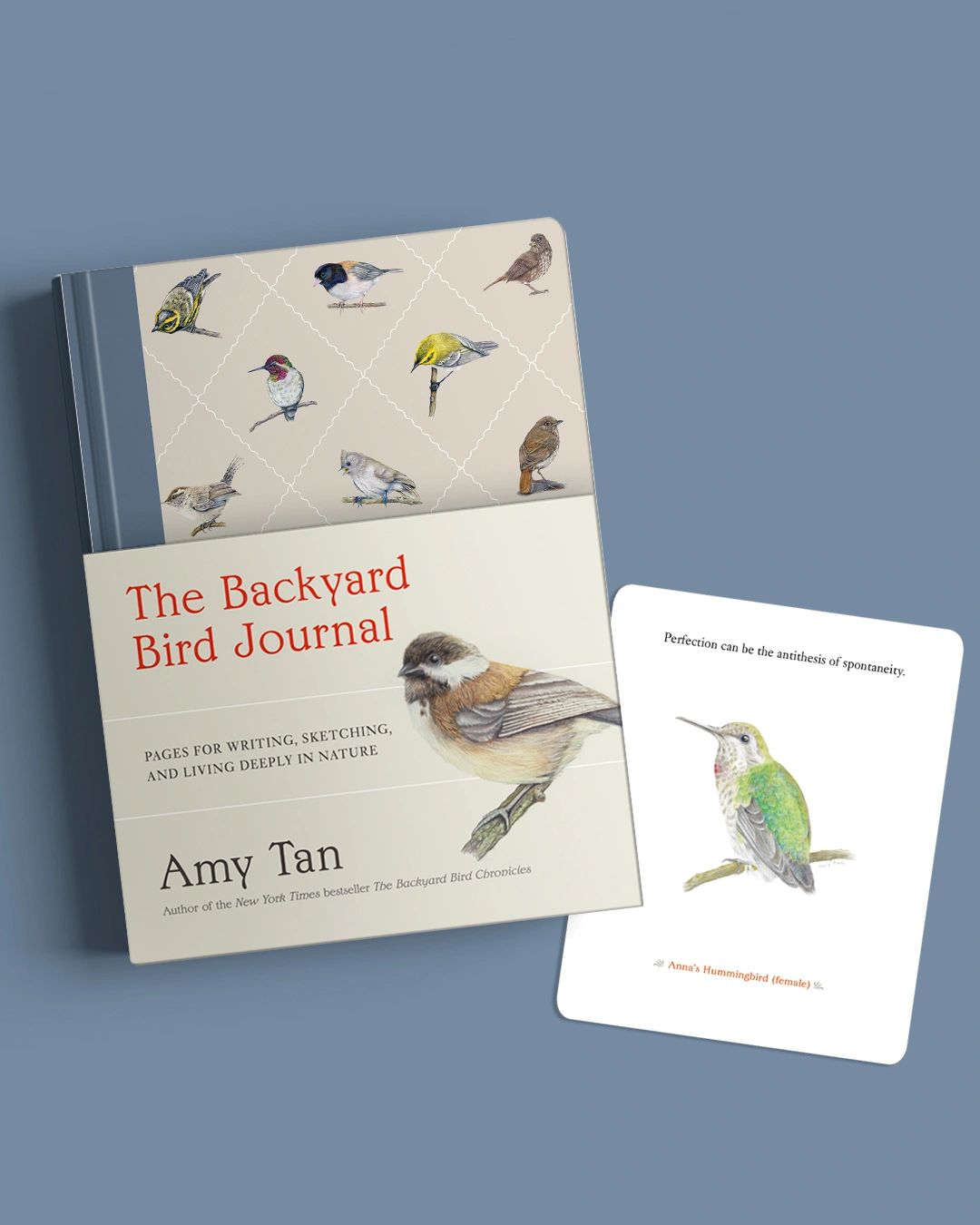 Backyard Bird Chronicles