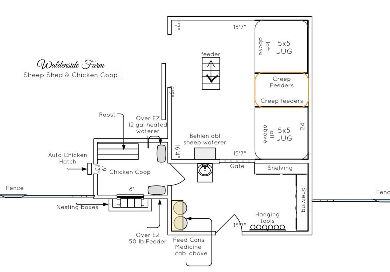 Sheep Barn Layout