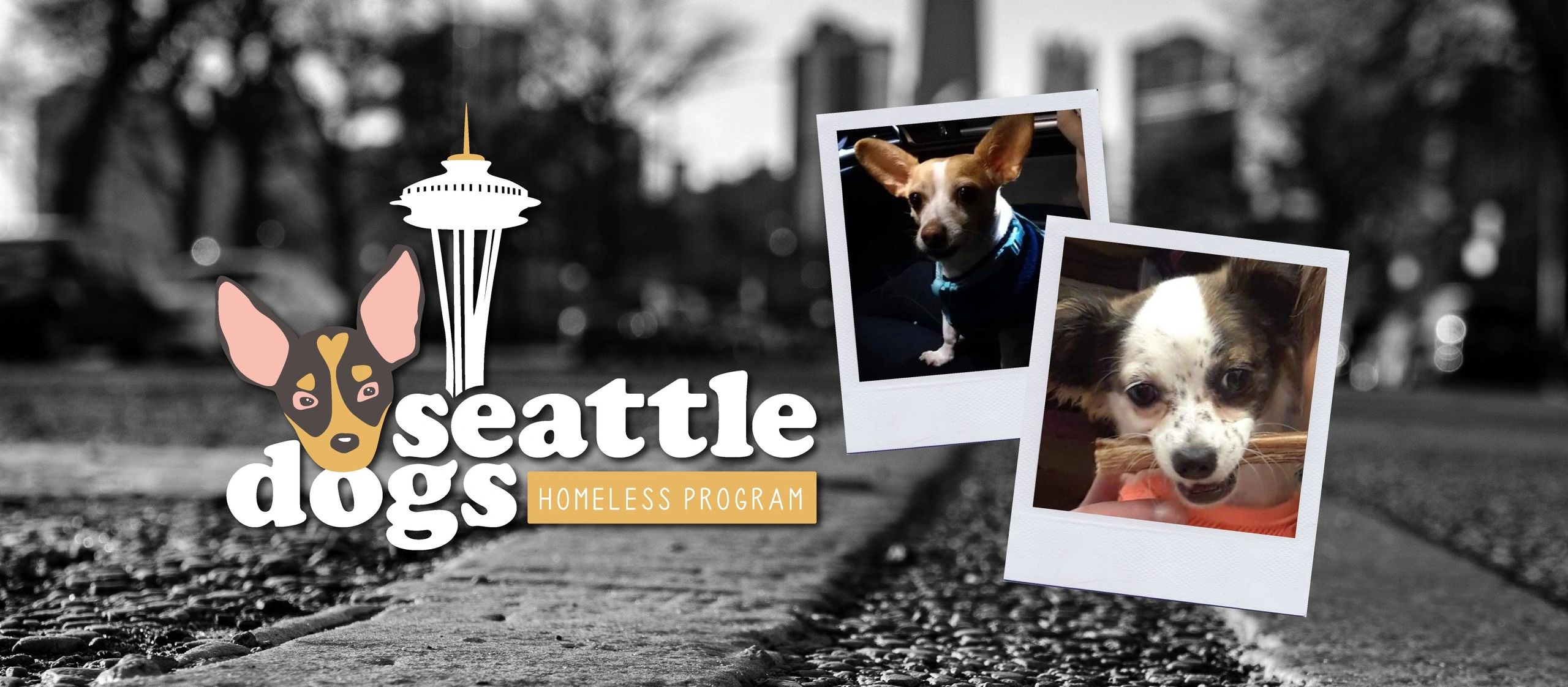 Seattle Dogs Homeless Program - Home