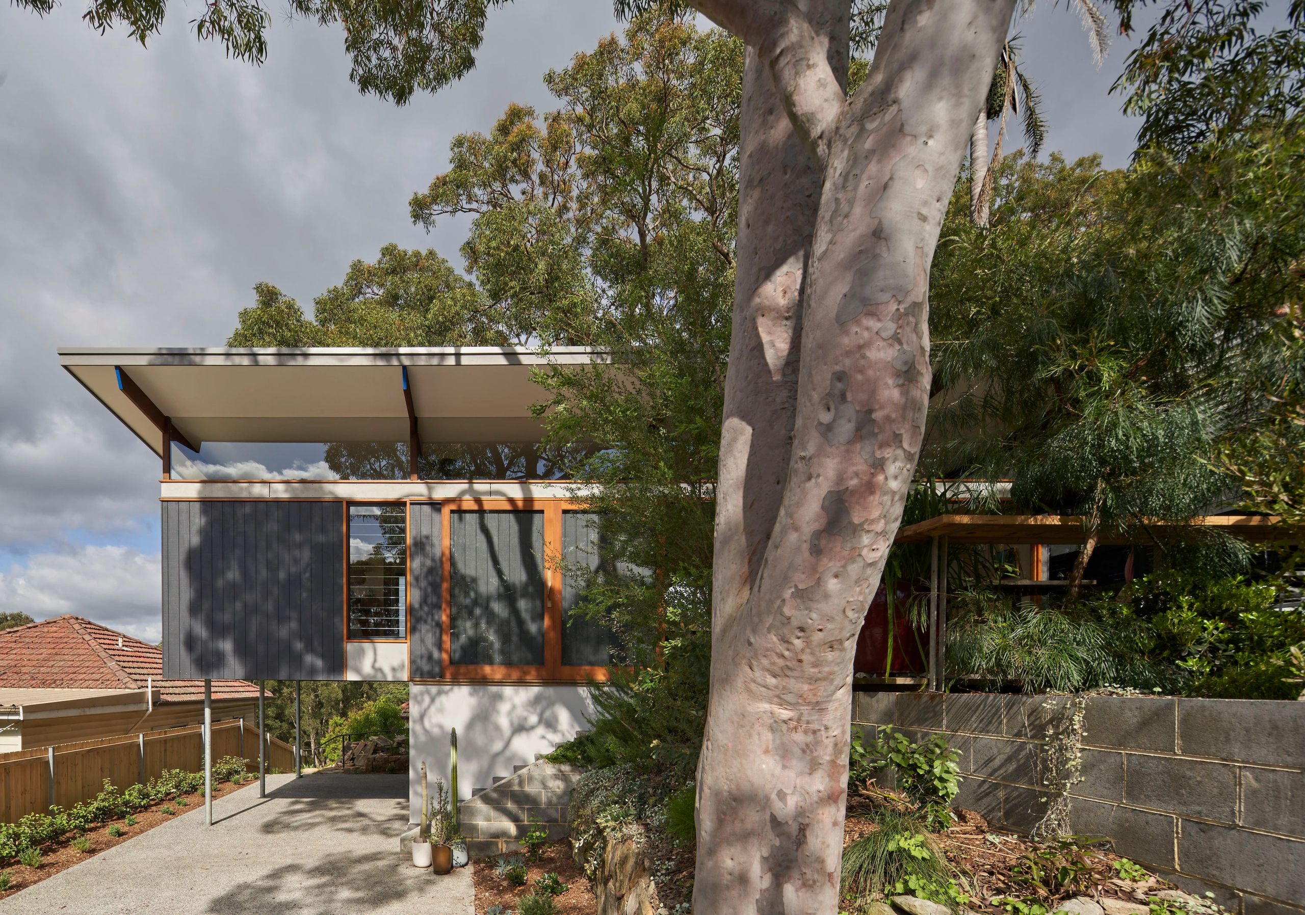 home [avashirley.com]