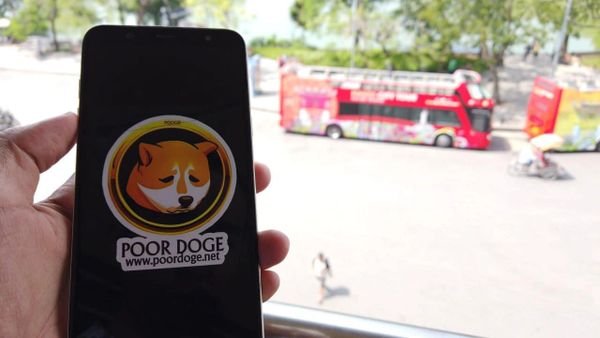 Invest in Poor Doge: The Next Big Meme Coin