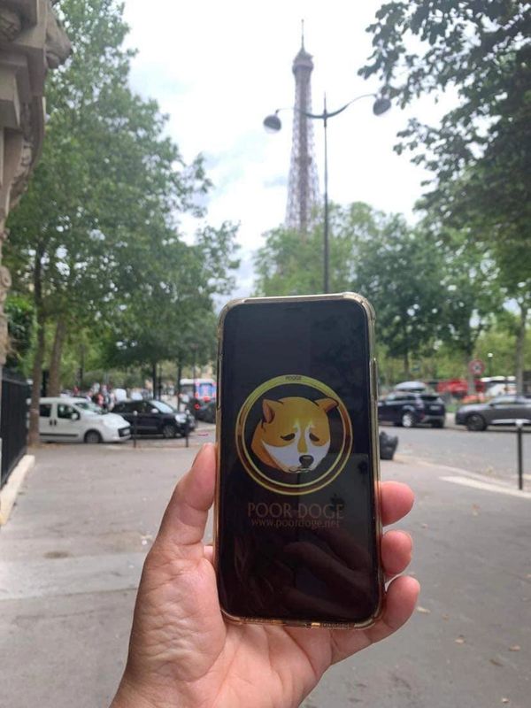 Invest in Poor Doge: The Next Big Meme Coin