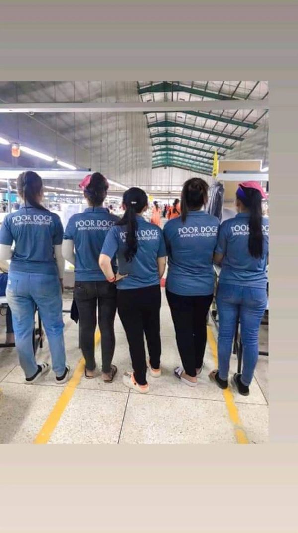 Invest in Poor Doge: The Next Big Meme Coin