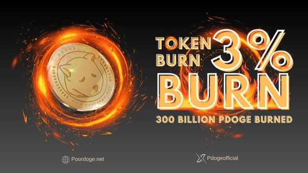 Invest in Poor Doge: The Next Big Meme Coin