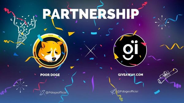 Invest in Poor Doge: The Next Big Meme Coin