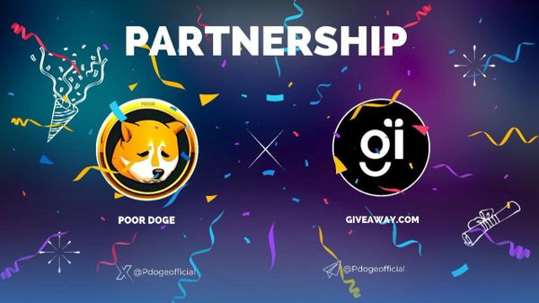 Invest in Poor Doge: The Next Big Meme Coin