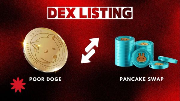 Invest in Poor Doge: The Next Big Meme Coin