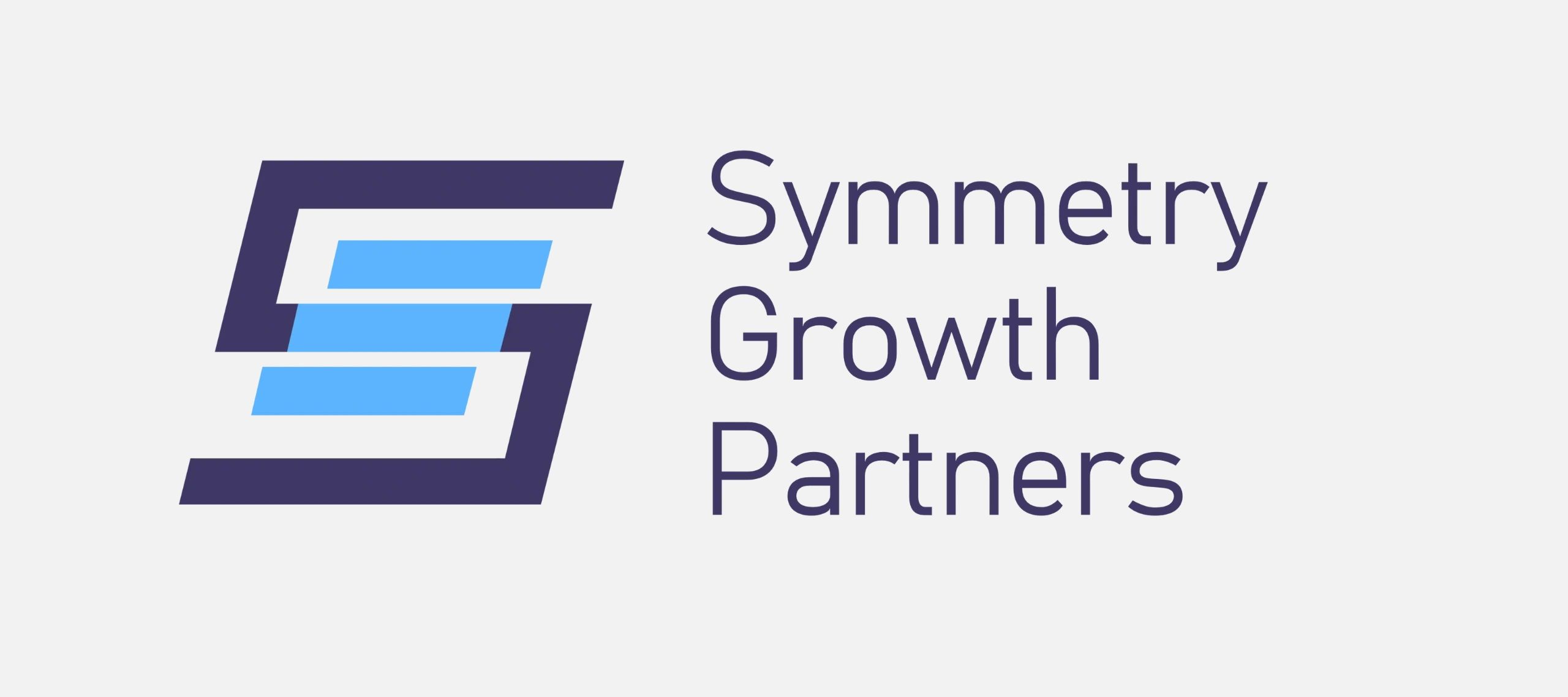 Expert Business Consulting Services