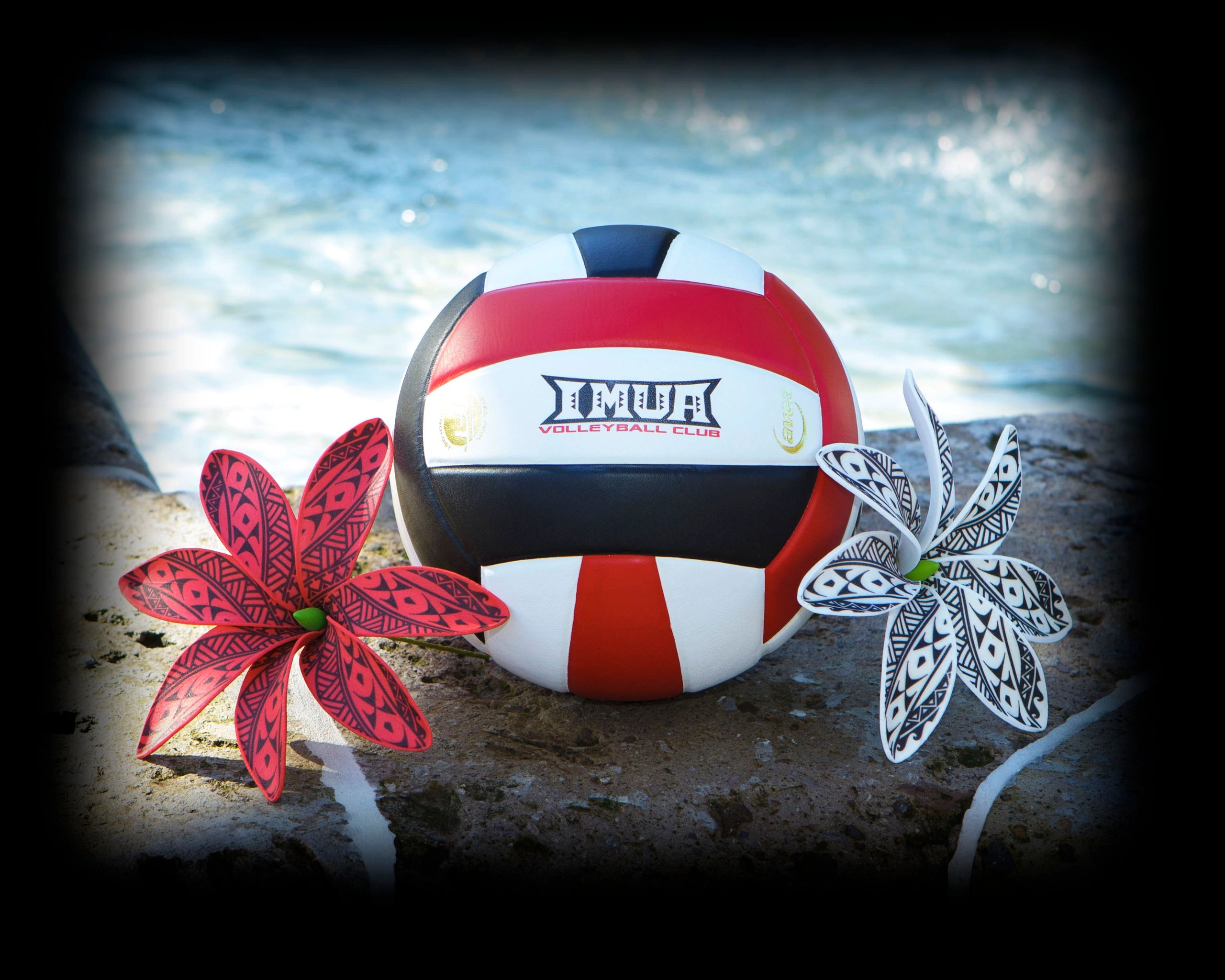 IMUA VOLLEYBALL CLUB - Junior Volleyball, Youth Volleyball
