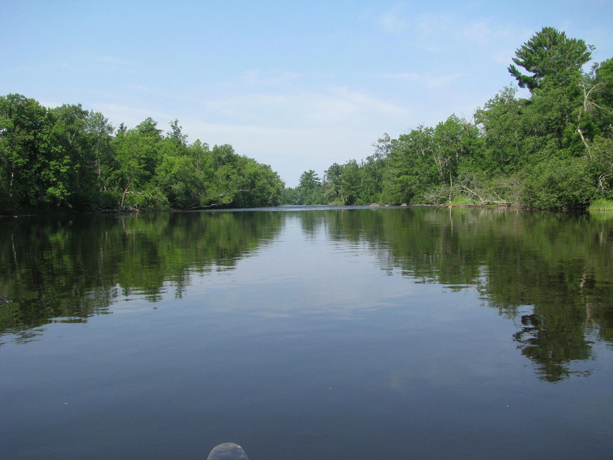 Tailored Solutions for Unique Business Needs