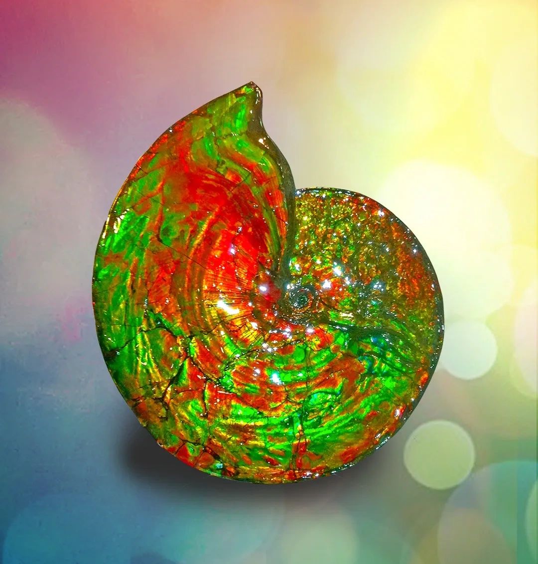 Ammolitestones.com - Authentic Alberta Ammolite, Online Store