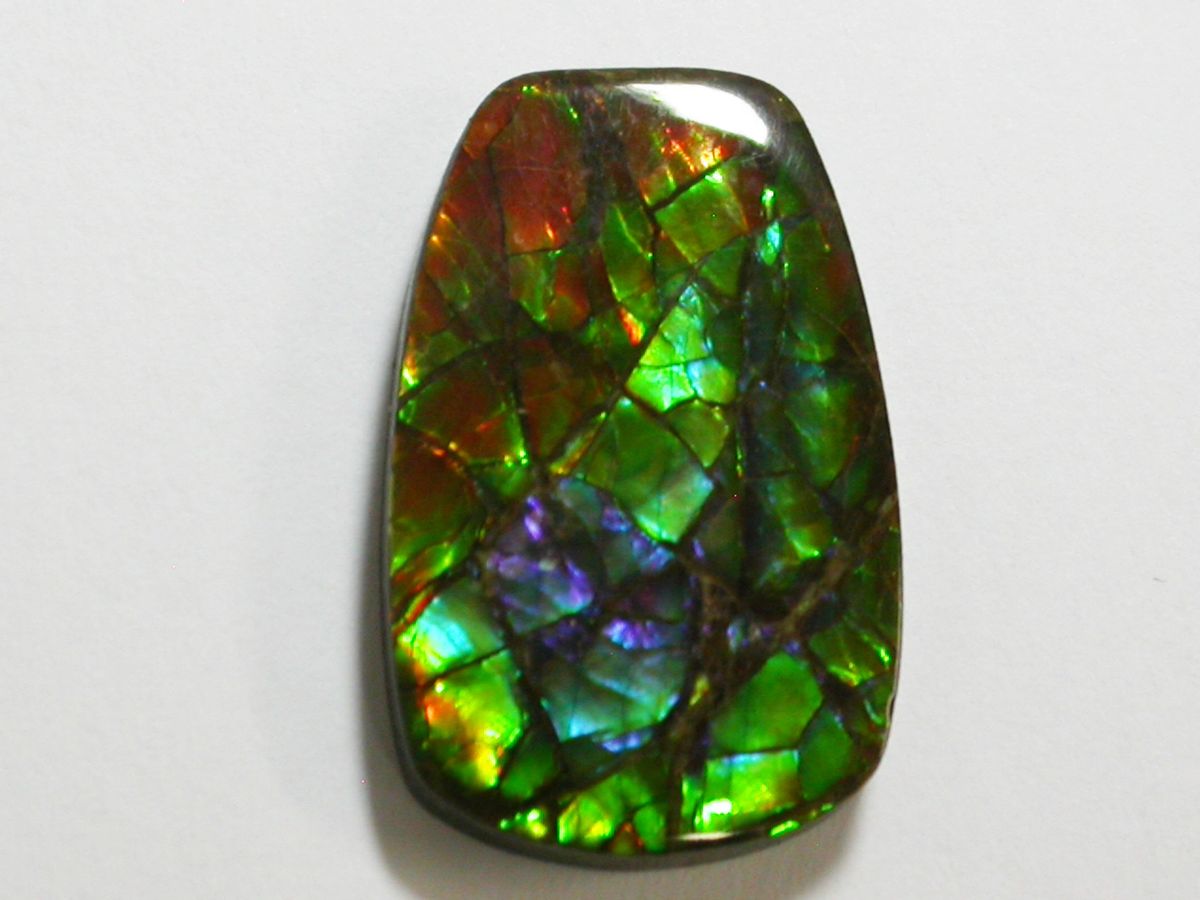 Ammolite Freeform Gemstone