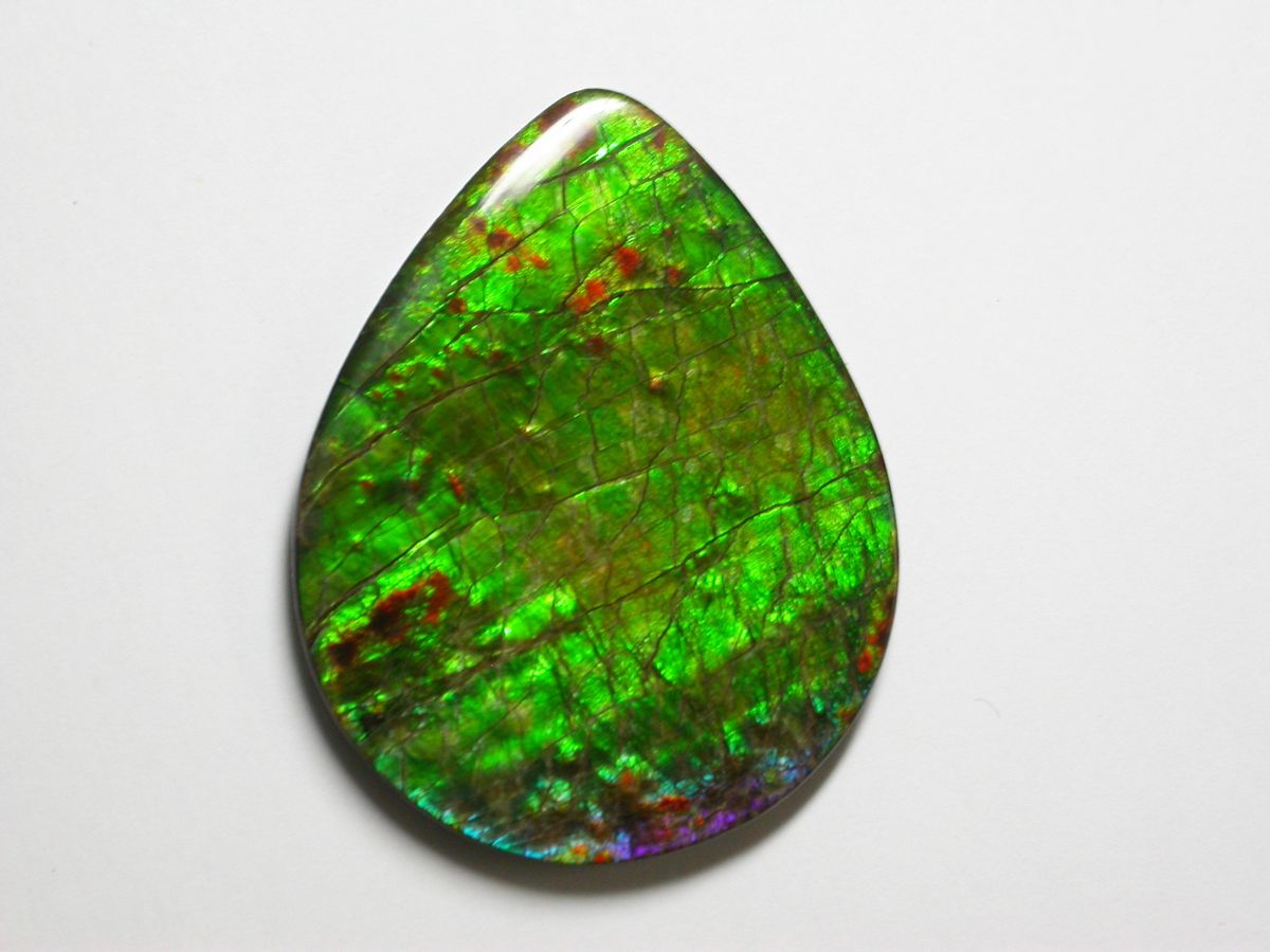 Ammolite Freeform Gemstone