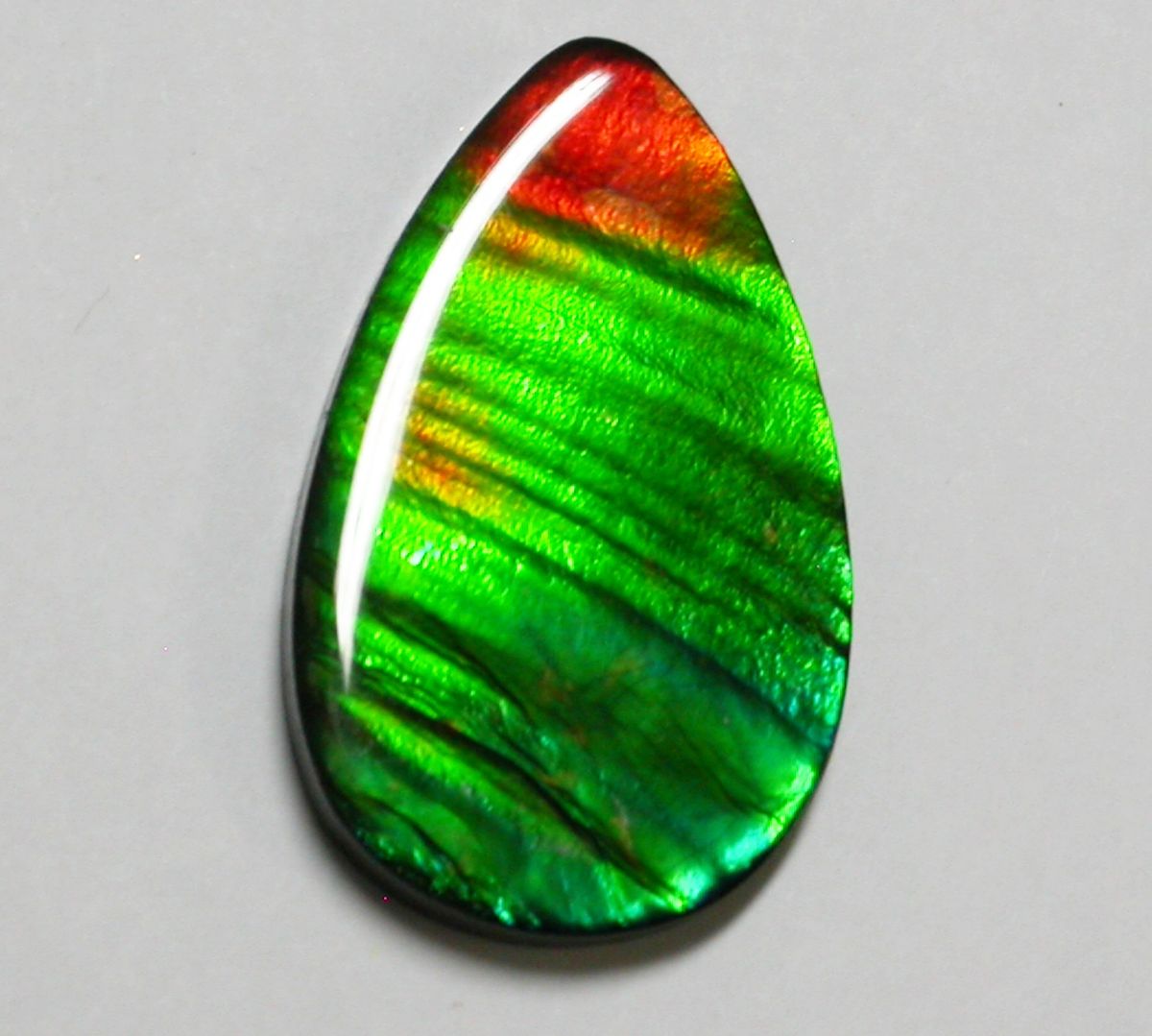 Ammolite Freeform Gemstone