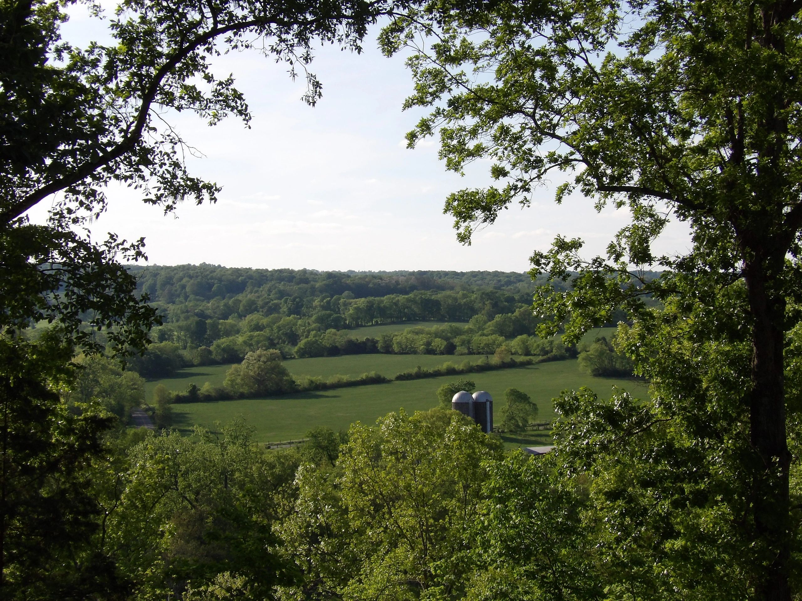 Explore Cottontown Tennessee: Culture & History