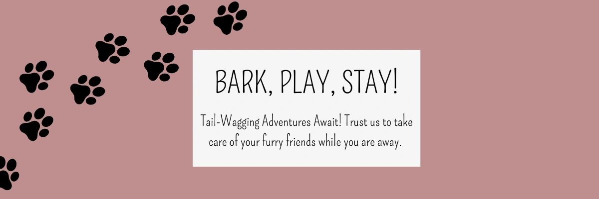 About | Darling Dog Care