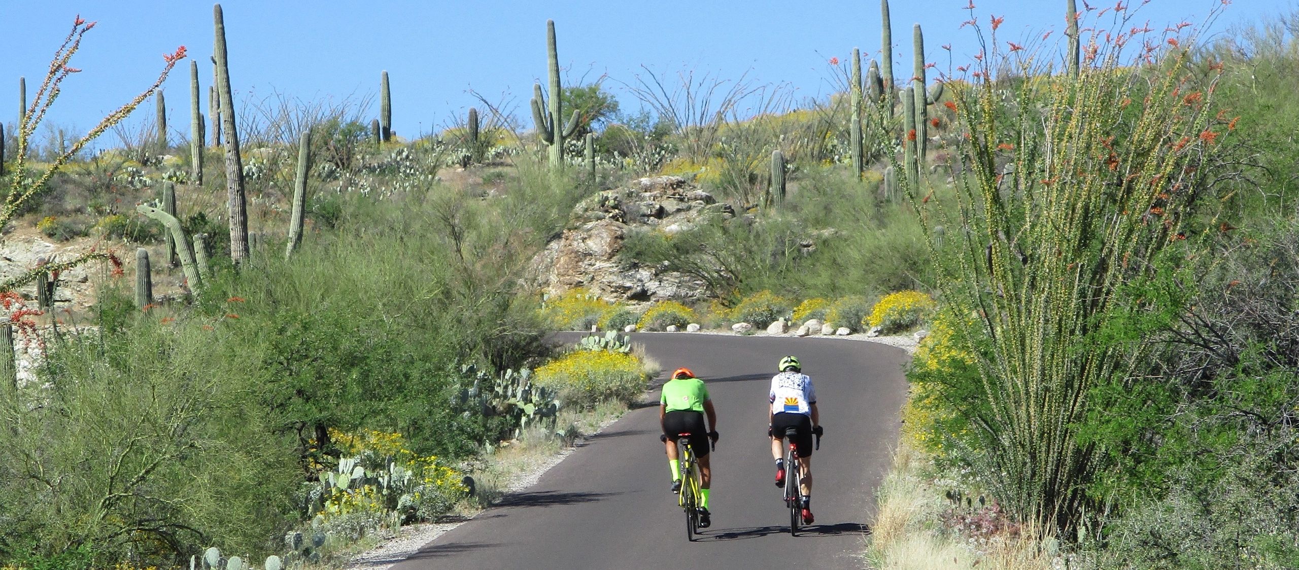 Bike Ranch - Cycling, Bike, Environment, Bicycle