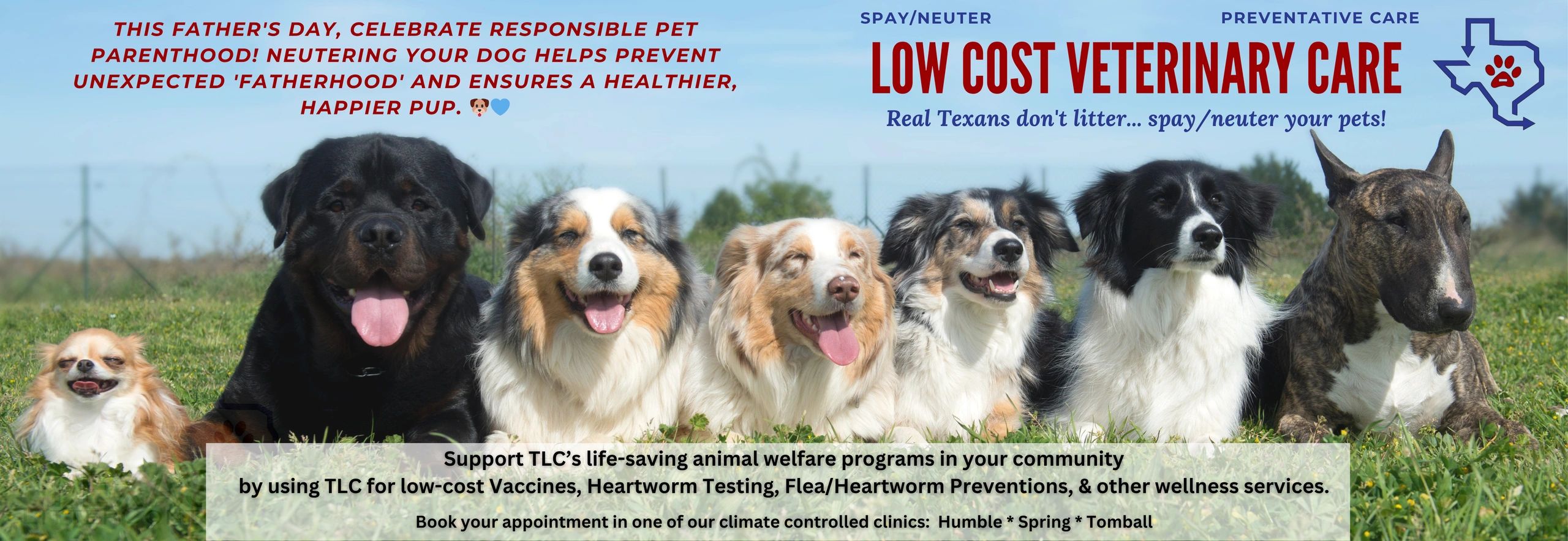 Spay & Neuter Pricing