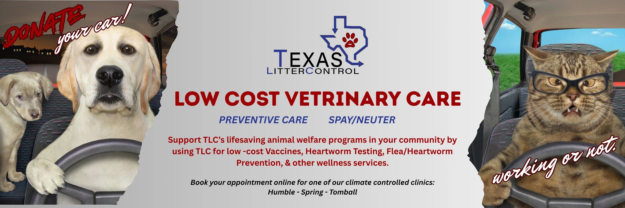 Spay & Neuter Pricing