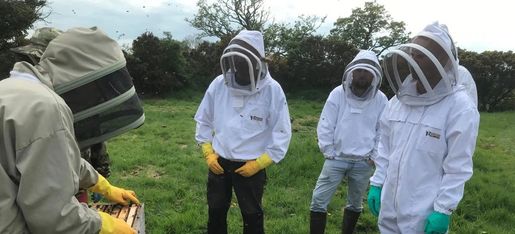 Dromore Beekeepers - Apiary and Beekeeper - Dromore, Northern Ireland