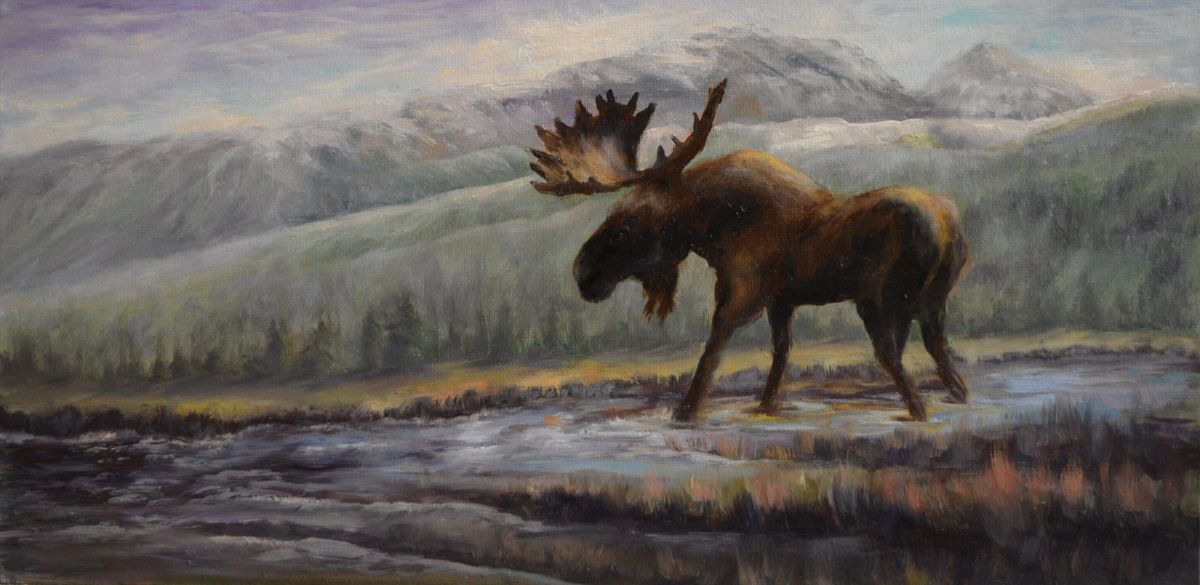 Sleeping Indian Moose