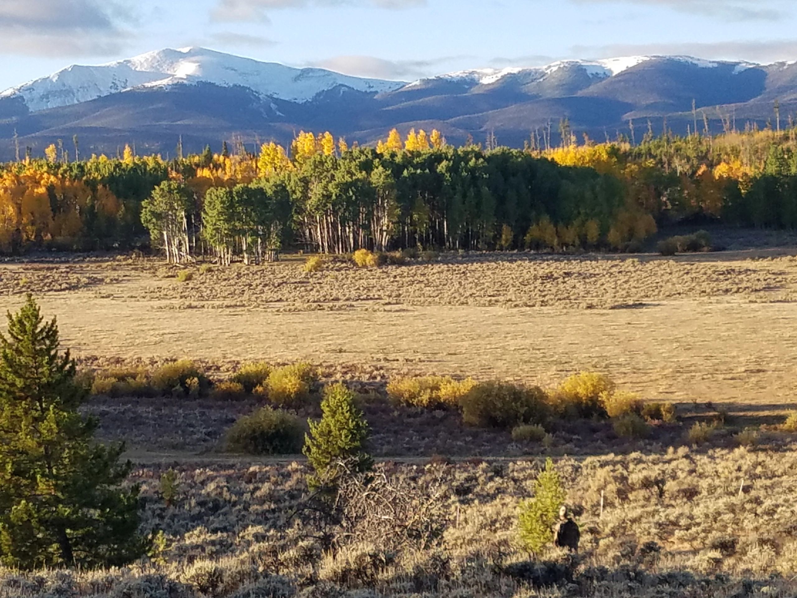 Trophy Ridge Outfitters - Outfitting, Trophy Hunting