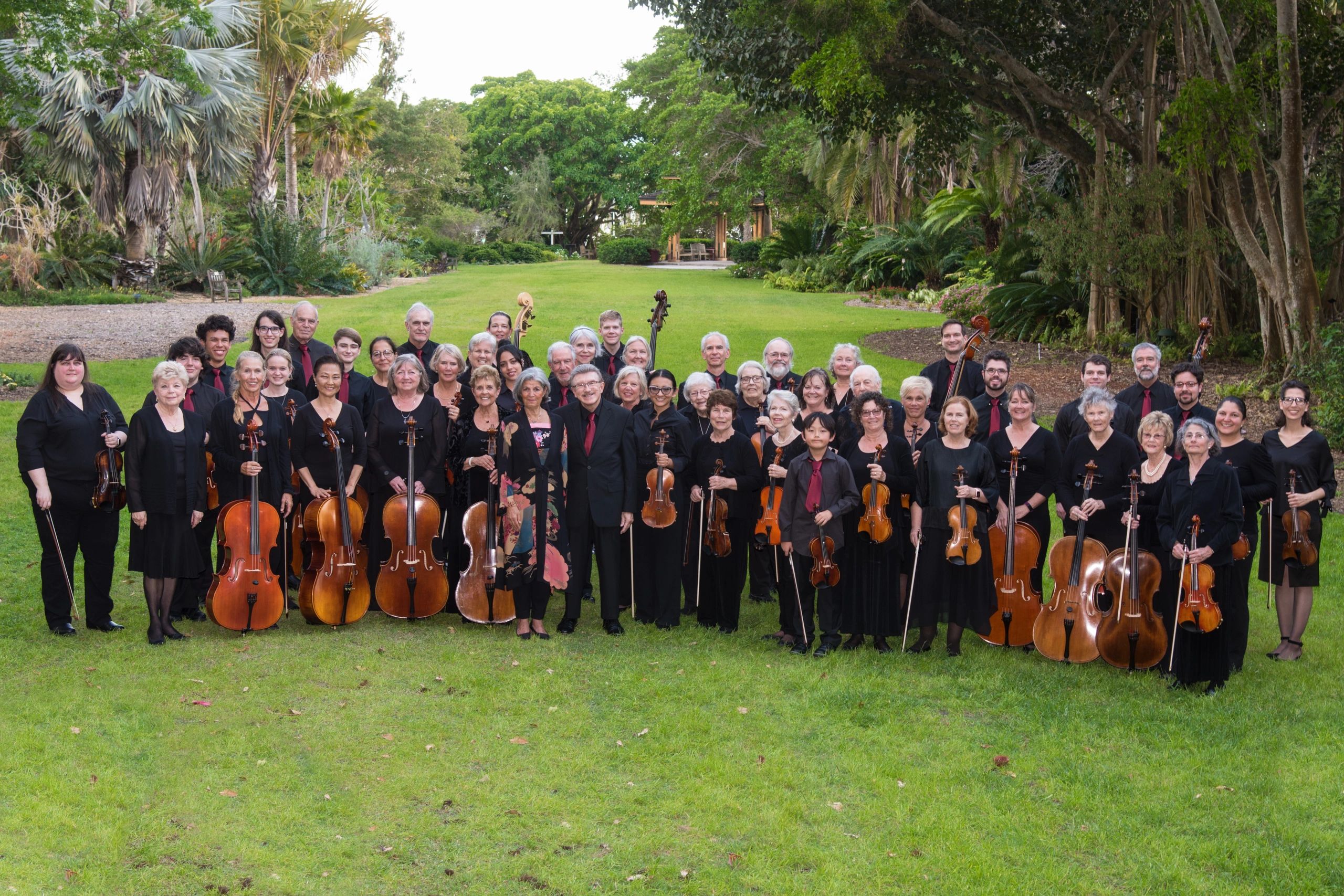 Strings Con Brio Strings Con Brio