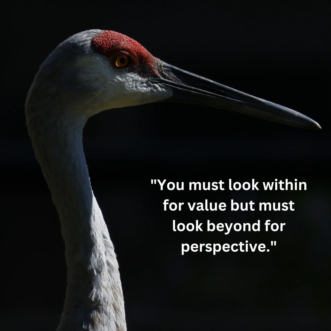 The Power of Perspective