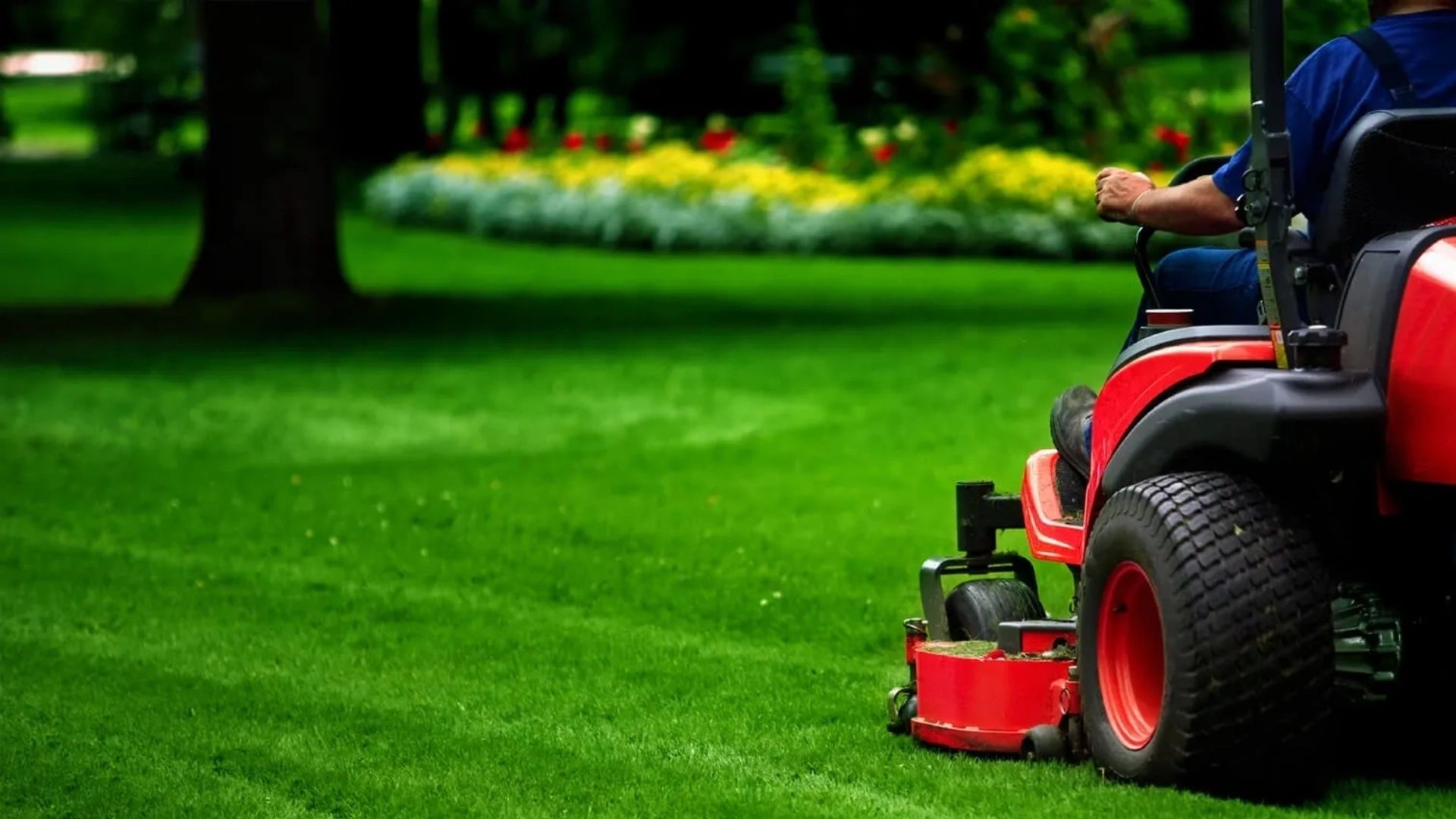 Yarra Valley Garden Guy | Professional Lawn Mowing and Garden ...