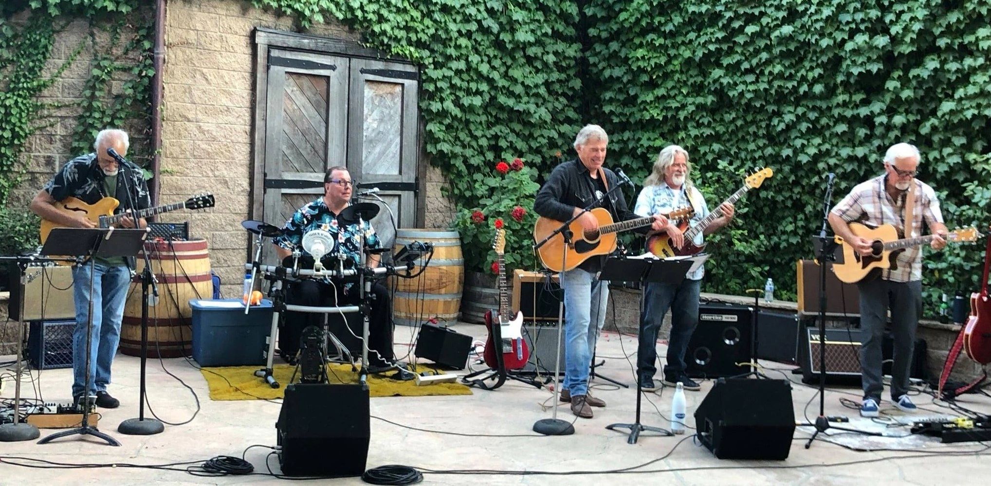 The Lowdown Dudes Band