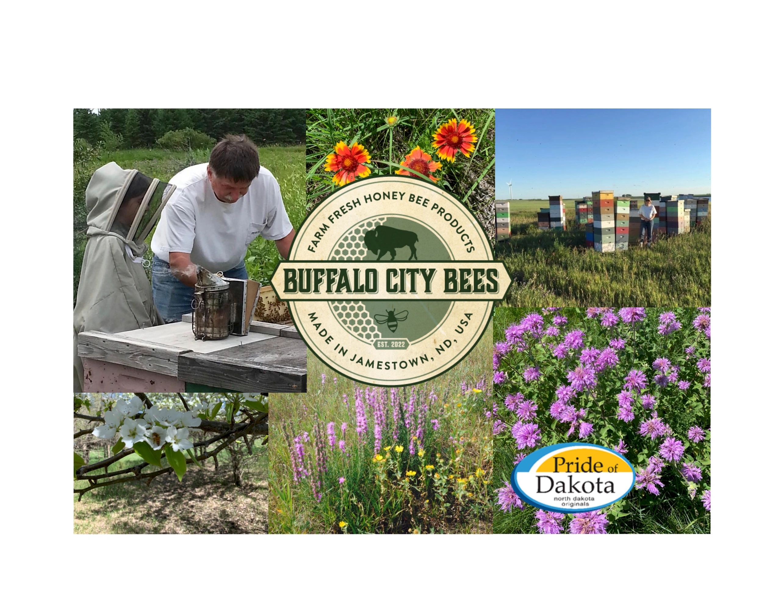 Buffalo City Bees