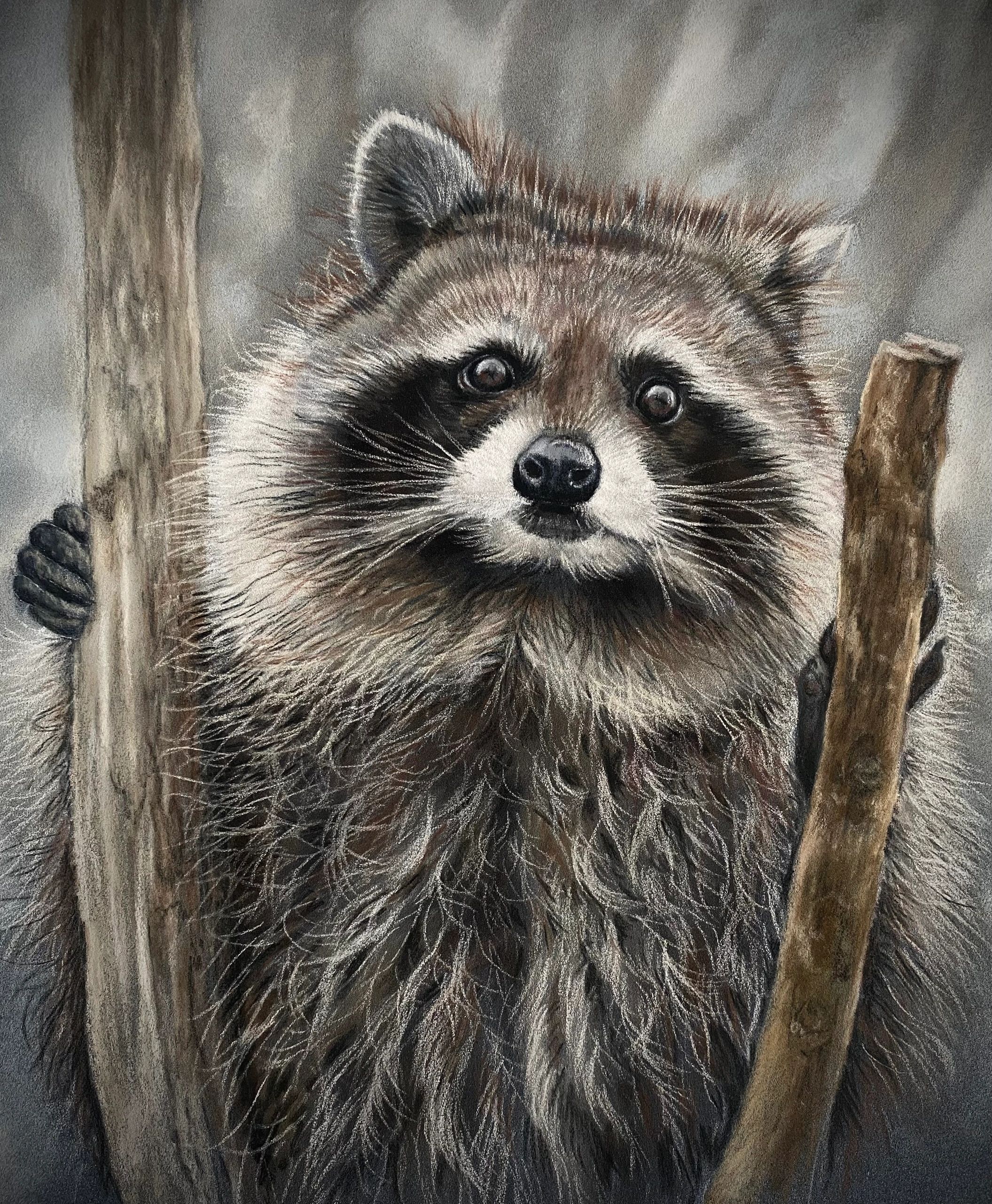 Gallery | Donna Terry Art