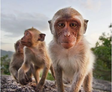 You Cannot Fix Someone Who Profits From Being Broken