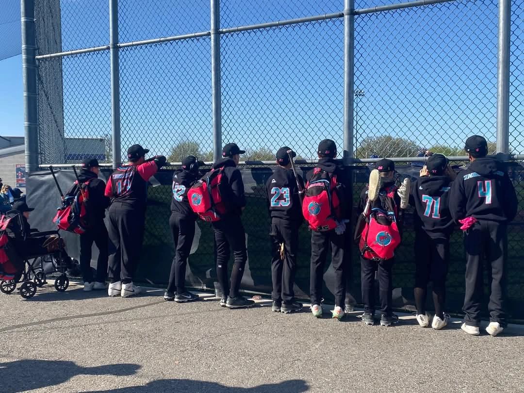 Flamingo's Baseball