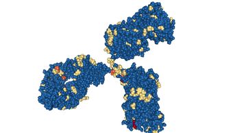 Pipeline | Oncosimis Biotech Pvt Ltd