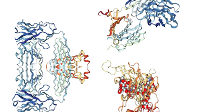 Pipeline | Oncosimis Biotech Pvt Ltd