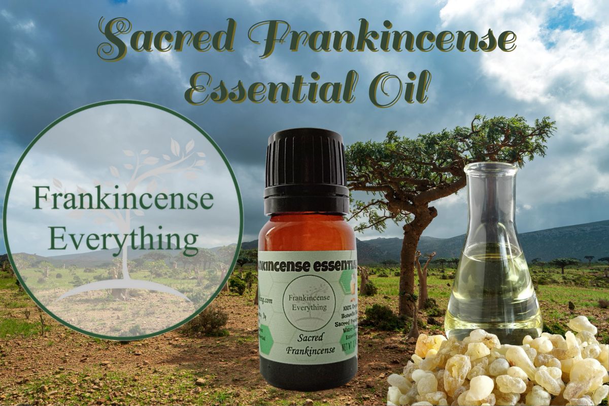 Sacred Frankincense Essential Oil / Organic Boswellia Sacra High Grade ...