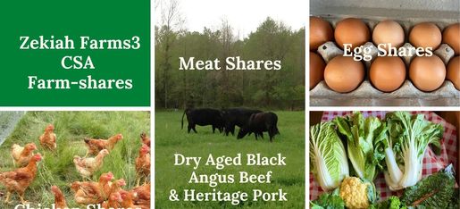 Zekiah Farms3 - Farm Raised Meats, Produce, Honey