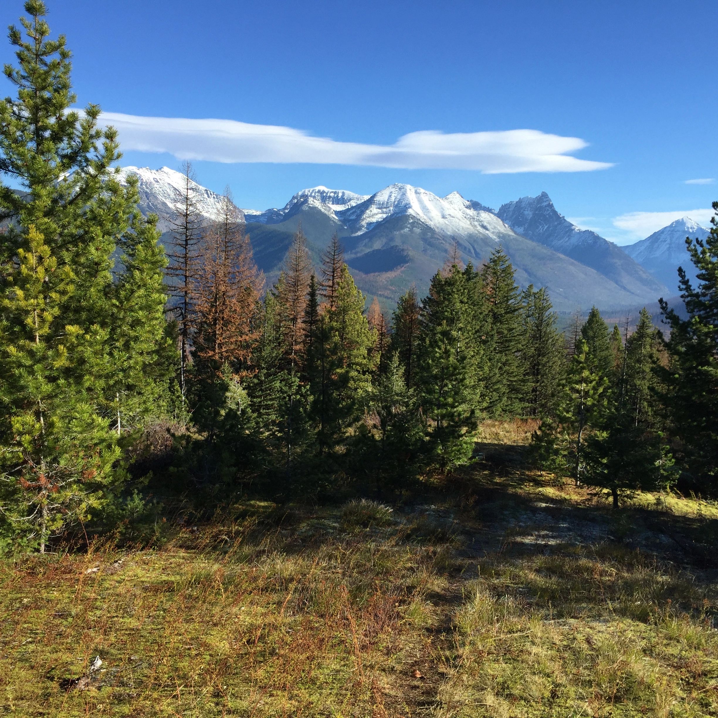Flashpoint Outdoor Laser Tag
