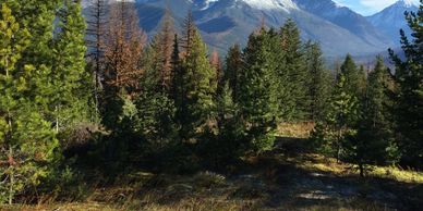 Flashpoint Outdoor Laser Tag