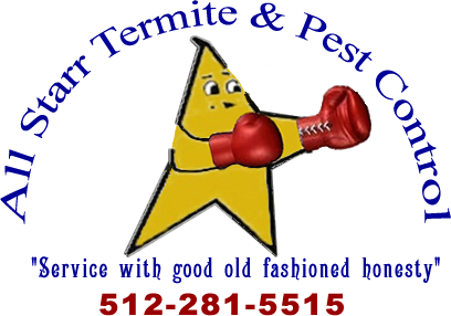 Pest Control - All Starr Termite & Pest Control