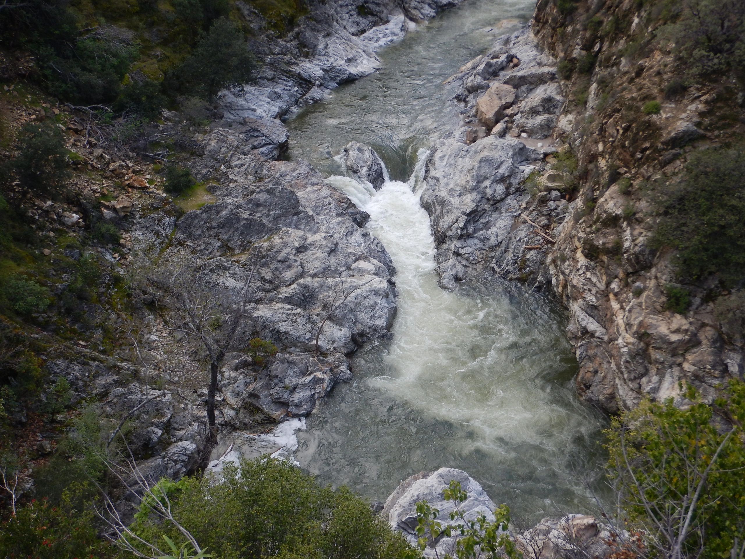 Biological Resource Assessments & Environmental Consulting Services ...