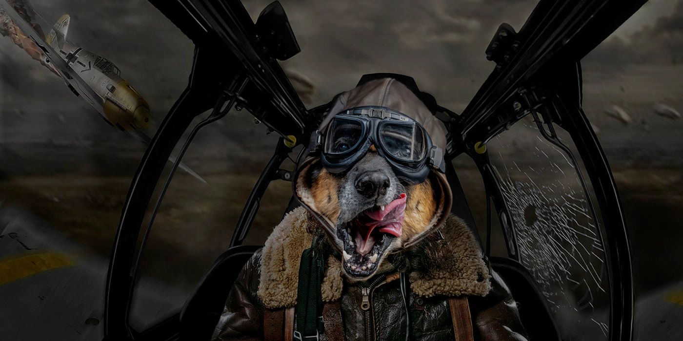 Nancy Colón Photography - Home