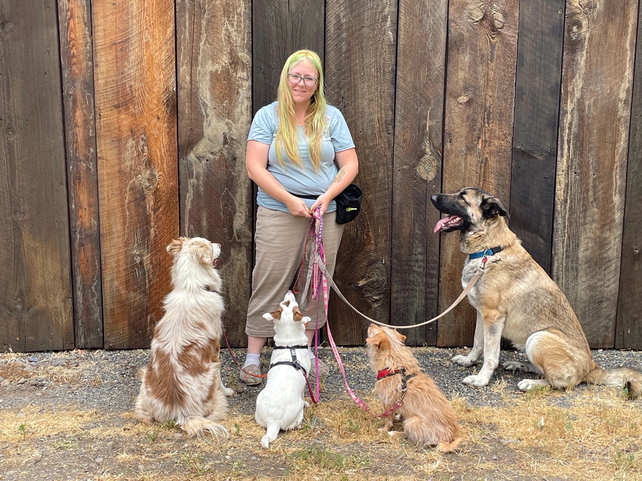 Up to Snuff Mutt - Group Classes, Private Lessons